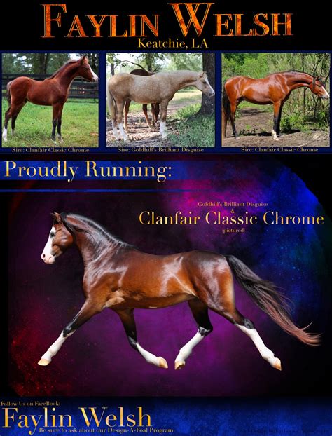 About L Faylin Welsh