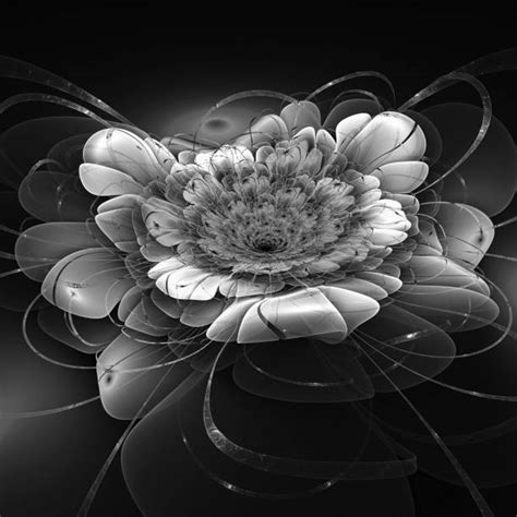 1000 Micrococcus Ilustrasi Grafik Vektor And Clip Art Bebas Royalti