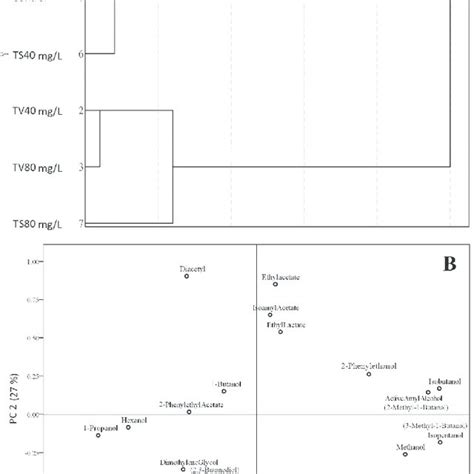 Cluster Analysis Plot Of Treatments A And Principal Component