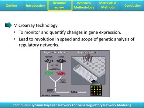 Ppt Continuous Dynamic Bayesian Network For Gene Regulatory Network Modeling Powerpoint