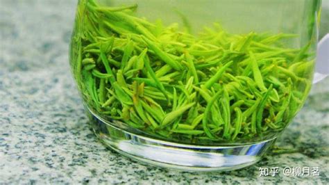 中国十大名茶排行榜 知乎