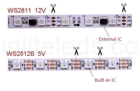 WS Everything You Need To Know LEDSuntech