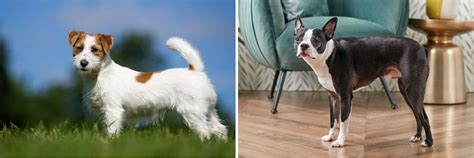 서울예술실용전문학교