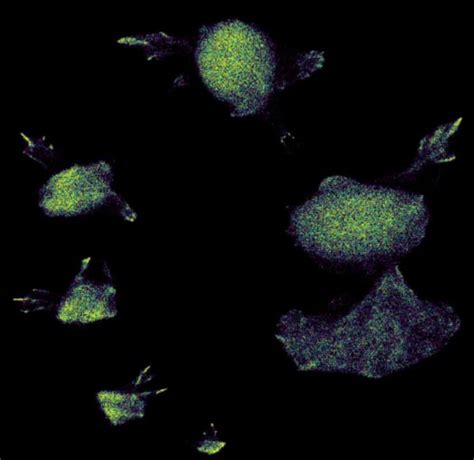 Do Machine Learning On Textual Numerical Or Audio Data In Jupyter