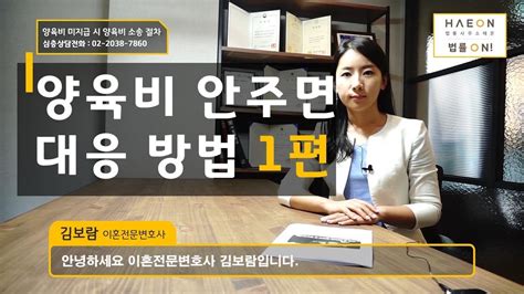 이혼 양육비 안주면 양육비청구소송 등 대처 방법 1편 Youtube
