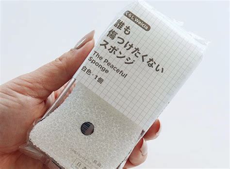 誰も傷つけたくないネットスポンジグレー・1個｜からだwelciaとくらしwelcia｜ウエルシア薬局