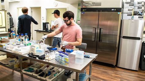 The Lab In Action Level One Labs