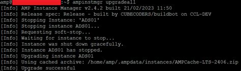 Unable To Update Amp Instance Technical Support Cubecoders Support