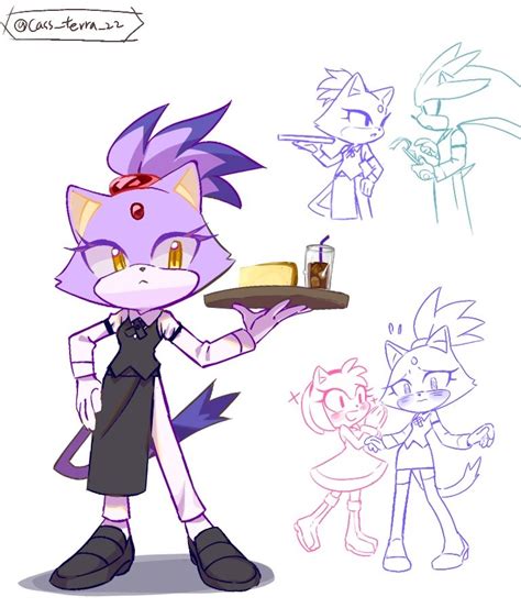 Amy Rose Blaze The Cat And Silver The Hedgehog Sonic Drawn By Cass