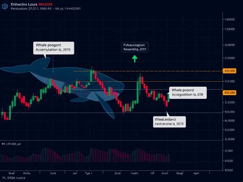 Chainlink Price Analysis Whales Accumulate Below 12 As Bearish