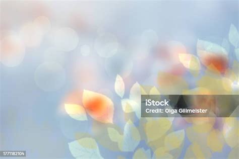 추상 가을 그라데이션 블루 옐로우 핑크 밝은 녹색 가을 색상 배경 텍스처 와 나뭇잎 Bokeh 서클 와 햇빛 인도의 여름 텍스트를 위한 공간이 있는 카드 디자인 아름 다운