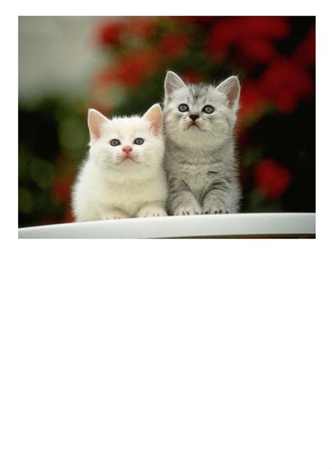 python pil imageenhance模块详解：色彩与亮度增强 csdn文库