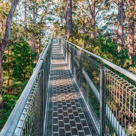 Beautiful Tree Top Walks To Experience Nature From A Whole New Angle