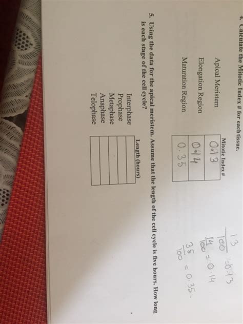 Calculate The Mitotic Index For Each Tissue 1 2