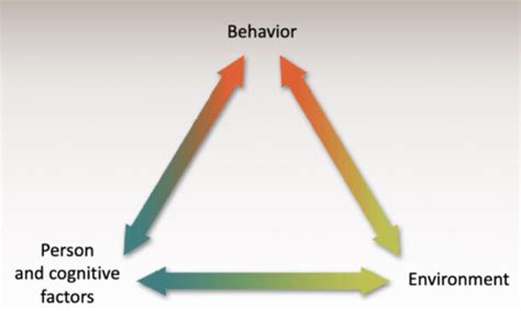 Psy Test 3 Flashcards Quizlet