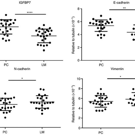 Insulin Like Growth Factor Binding Protein 7 Expression In One Colon
