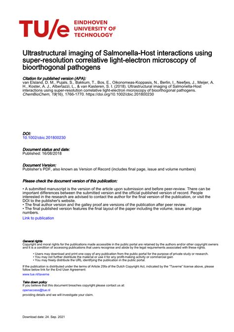Ultrastructural Imaging Of Salmonella Host Interactions Using Super‐resolution Correlative Light