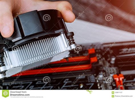 Technician Hands Installing CPU Cooler Fan On A Computer Pc Motherboard With GPU Rigs Stock