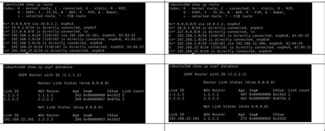 ospf quagga ubuntu can t ping over two routers cisco community