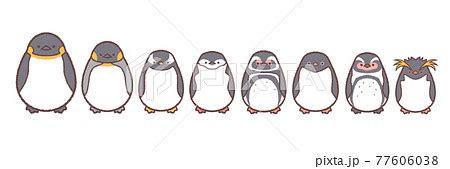 ペンギン8種類ラインのイラスト素材 77606038 PIXTA