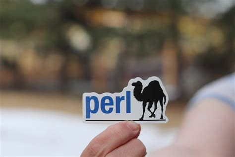 About Perl Programming Mit Academys Perl Programming