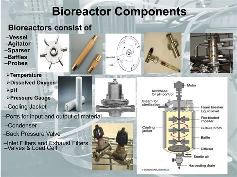 Bioreactoronbioprocessengineeringppt
