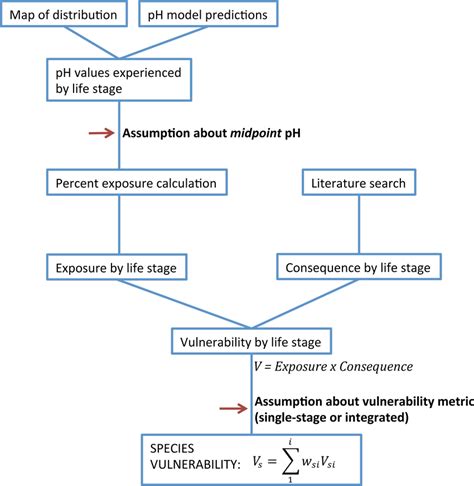 Conceptual Diagram Of Vulnerability Assessment Components Diagram
