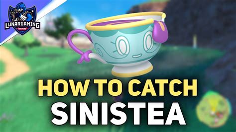 How To Get Sinistea And Get Sinistea Chips Pokemon Scarlet And Violet Youtube