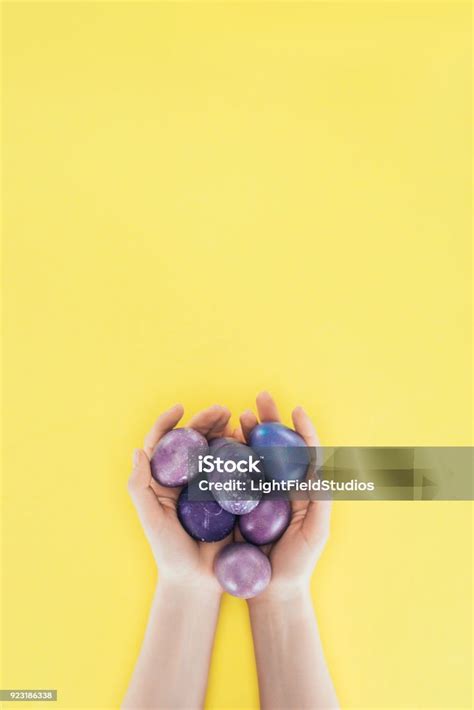 노란색에 고립 된 손에 보라색 부활절 달걀을 들고 여자의 자른된 보기 공휴일에 대한 스톡 사진 및 기타 이미지 공휴일 노란색 배경 단순함 Istock