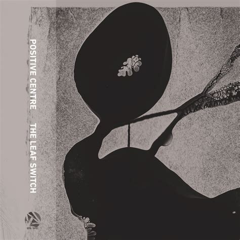 Positive Centre The Leaf Switch [album] Positive Centre Issxii