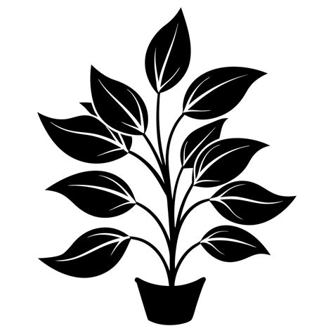 Plant Black Silhouette Illustration 46973820 Vector Art At Vecteezy