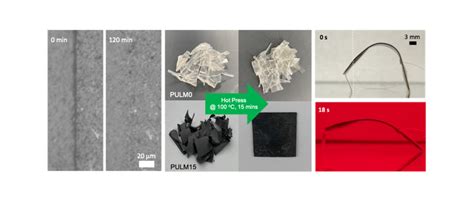 Photothermal Modulated Dielectric Elastomer Actuator For Resilient Soft