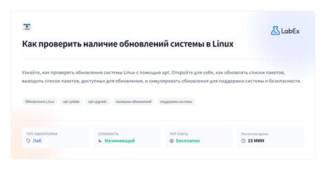 Как проверить наличие обновлений системы в Linux Labex