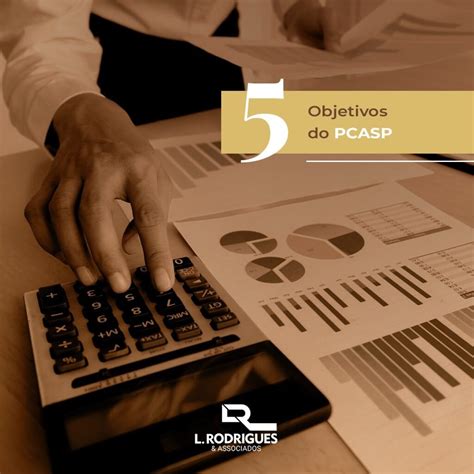 5 Objetivos Do Pcasp L Rodrigues