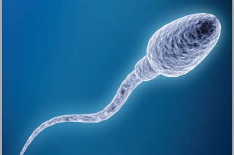 What Does Sperm Taste Like Bitter Salty Or Sour Vinmec