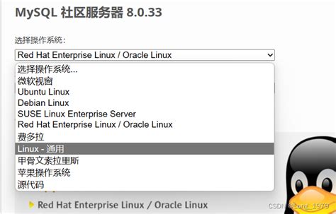 Linux上安装mysql步骤linux Mysql 安装顺序 Csdn博客