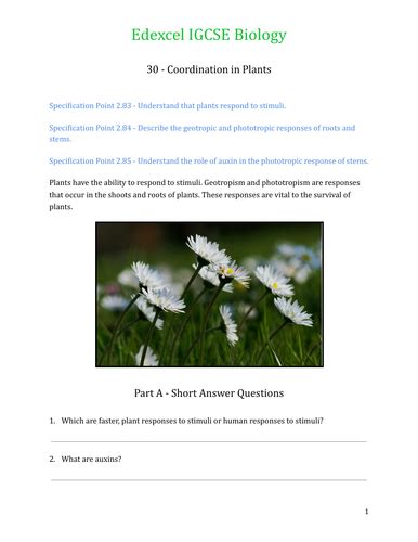 Edexcel Igcse Biology Worksheets Chapter 4 Coordination And Control Teaching Resources
