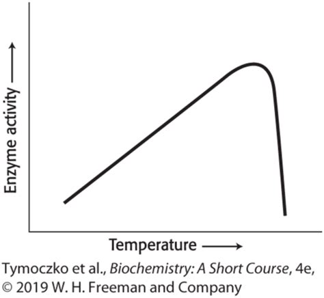 Chem 373 Ch 8 13 Flashcards Quizlet