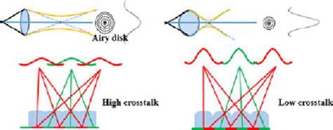 Figure 1 From Analysis And Reduction Of Crosstalk In The Liquid Lenticular Lens Array Semantic