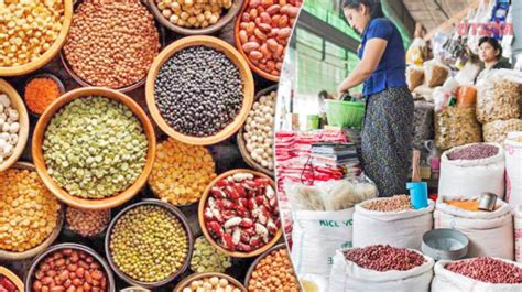 ມຽນມາ ສົ່ງອອກຖົ່ວຫລາຍກວ່າ 6 7 ແສນໂຕນ