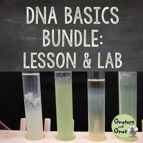 Dna Basics Lesson And Extracting Dna From Peas Lab Dna Extraction Lab Dna Activities Lab