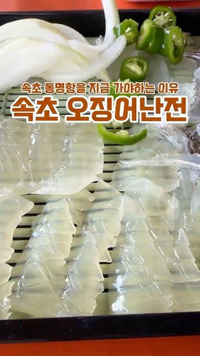 1년을 기다렸습니다 Youtube