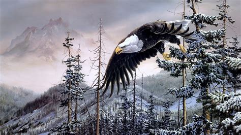 Bald Eagle Background 63 Pictures Wallpaperset