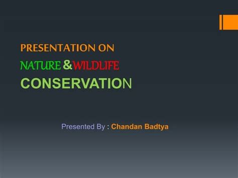 Presentation On Wildlife Conservation Pptx