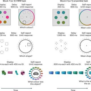 Colour Shape And Sequential Memory Tasks A B Example Trial Sequences Download Scientific