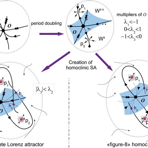 Main Steps Of The Appearance Of A Homoclinic Strange Attractor A