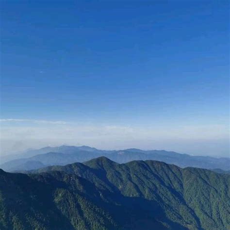 一直咳嗽不止怎么办儿科医生告诉你几个注意方法 免疫 儿童 过敏性