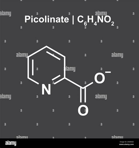 Picolinate C6h4no2 Chemical Structure Vector Illustration Stock Vector Image And Art Alamy