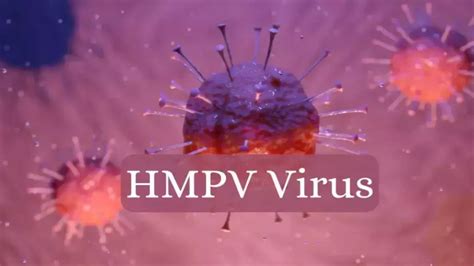 बेंगलुरू में मिला एचएमपीवी वायरस का पहला केस Hmpv Hmpv Virus Human Metapneumovirus Hmpv