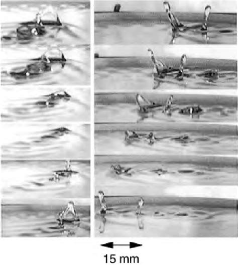 Figure 2 From Cross Diffusion Waves As A Trigger For Semantic Scholar